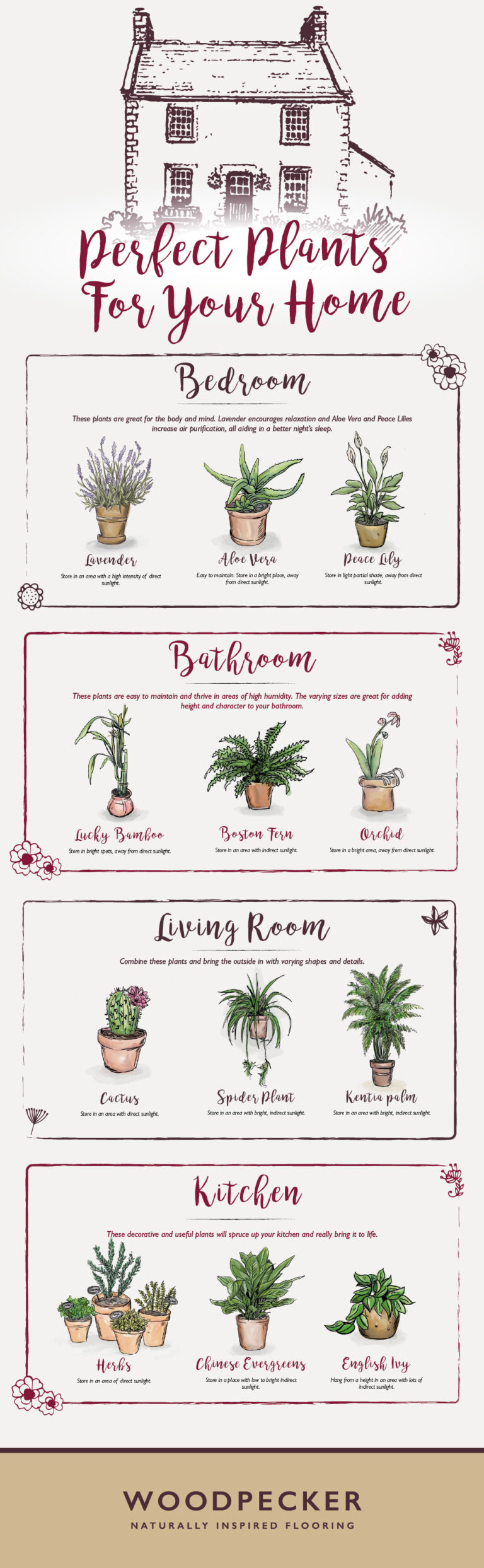 Perfect Plants For Your Home | Woodpecker Flooring